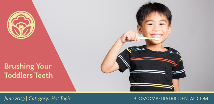 Brushing Your Toddler’s Teeth - Blossom Dental